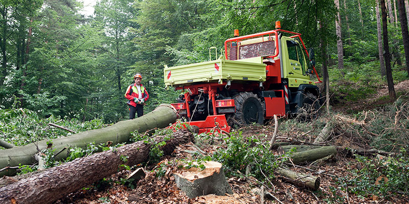 Der Unimog bei Deutschlands größtem kommunalen Forstbetrieb.