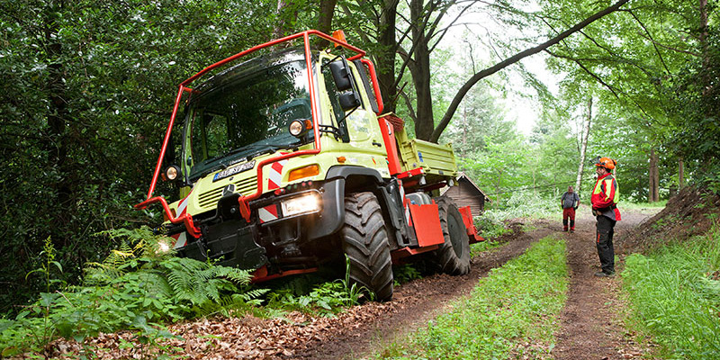 Der Unimog bei Deutschlands größtem kommunalen Forstbetrieb.